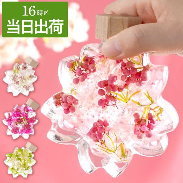 【サクラノカタチ ハーバリウム】桜の可憐な美しさを永遠に閉じ込めた、特別な一品です。当店だけで手に入る、桜型のオリジナル瓶が自慢です。ハーバリウムの中身には、厳選された本物の素材だけを贅沢に使用しています。お花屋さんたちがそれぞれの桜の品種...