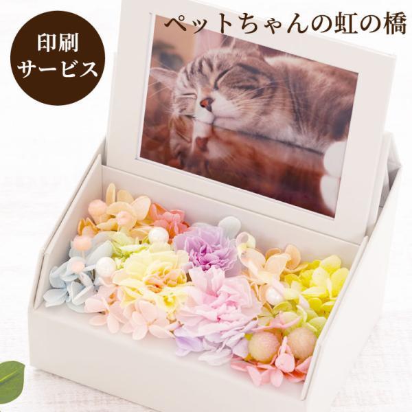 【ペットちゃんの『虹の橋』〜フォトボックス〜】大切なあの子が虹の橋のお花畑で元気に遊ぶ姿をいつでもそばに。7色のやわらかなパステルカラーはあの子の写真を華やかに彩り、パパさん、ママさんを癒してあげられますように虹の橋のたもとで、また会う日ま...