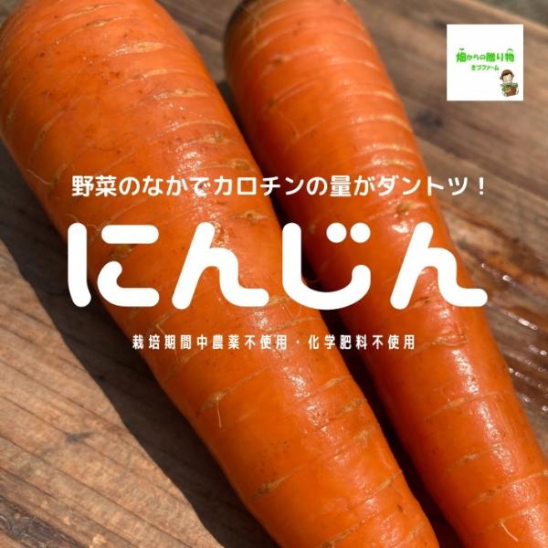 こちらのにんじんは、埼玉県産で、畑からの贈り物きづファームが有機肥料を入れて、栽培期間中農薬不使用・化学肥料不使用で育てた野菜です。にんじんは、緑黄色野菜の代表格で、カロチンが豊富に含まれています。 カロチンは皮の部分に多く含まれているそう...