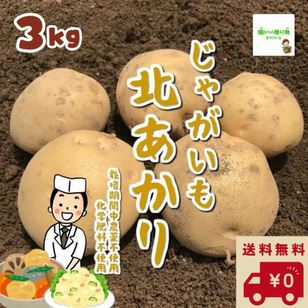 こちらのじゃがいも北あかりは、埼玉県産で、畑からの贈り物きづファームが有機肥料を入れて、栽培期間中農薬不使用・化学肥料不使用で育てた野菜です。北あかりは、ホクホク系ジャガイモの代表で、「黄金男爵」や「クリじゃがいも」などとも呼ばれています。...
