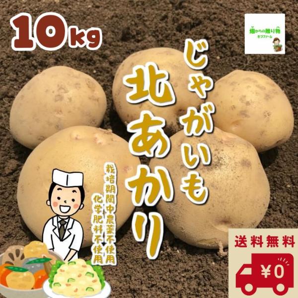 こちらのじゃがいも北あかりは、埼玉県産で、畑からの贈り物きづファームが有機肥料を入れて、栽培期間中農薬不使用・化学肥料不使用で育てた野菜です。北あかりは、ホクホク系ジャガイモの代表で、「黄金男爵」や「クリじゃがいも」などとも呼ばれています。...
