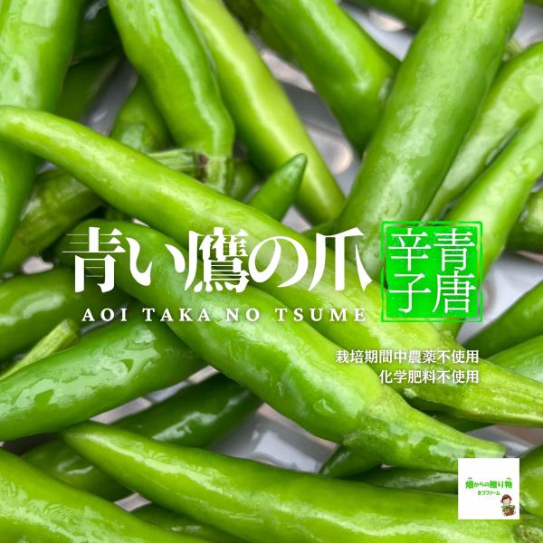 ※3袋以上ご購入の方は、１袋にまとめて袋詰めさせていただきます。あらかじめご了承ください。１袋ずつのご希望の方は、備考欄にお書きください。こちらの青い鷹の爪は、埼玉県産で、畑からの贈り物きづファームが有機肥料を入れて、栽培期間中農薬不使用・...