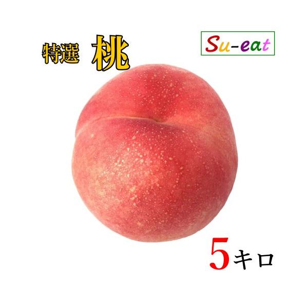 【発売日：2026年08月05日】