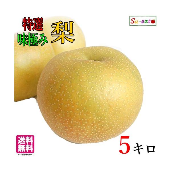 【発売日：2026年09月22日】