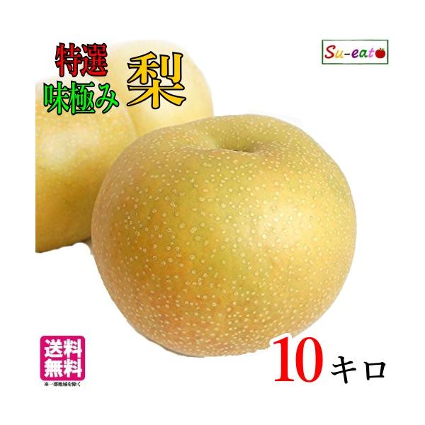 【発売日：2026年09月22日】