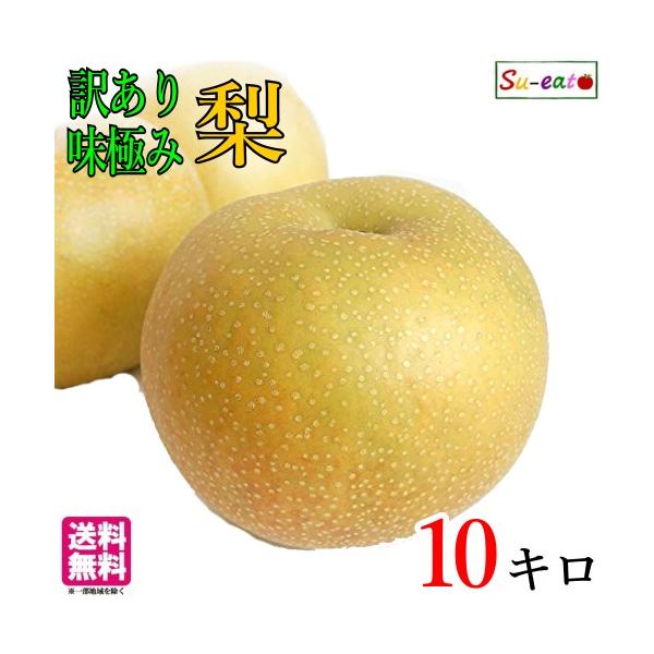 【発売日：2026年09月04日】