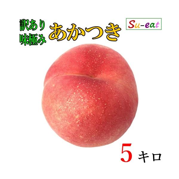 【発売日：2026年08月05日】