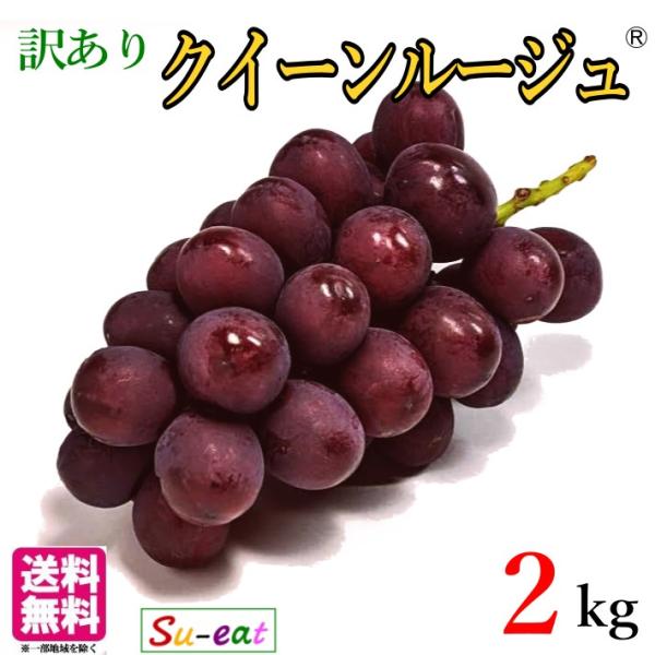 【発売日：2026年09月25日】