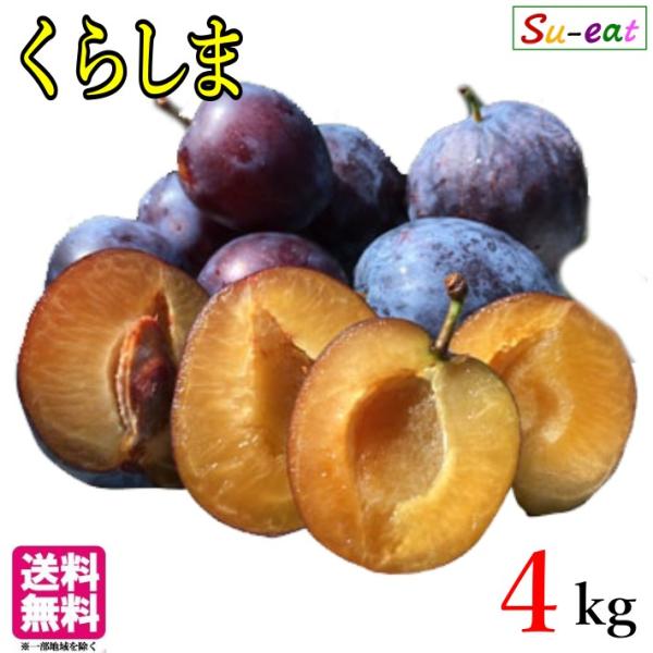 【発売日：2026年09月03日】送料無料！ 信州 生プルーン 4キロ
