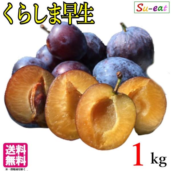 【発売日：2026年08月15日】送料無料！ 信州 生プルーン  1キロ