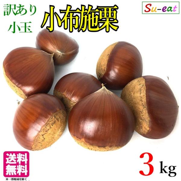 【発売日：2026年09月28日】