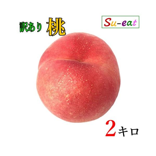 【発売日：2026年08月05日】