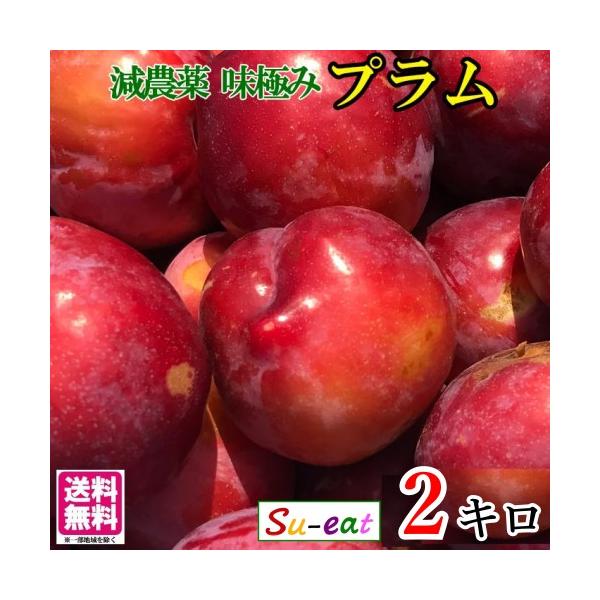 【発売日：2026年07月15日】
