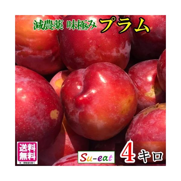 【発売日：2026年07月15日】