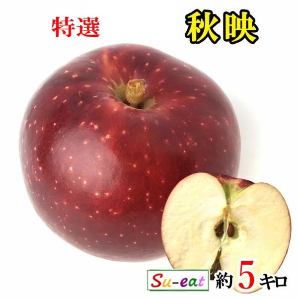【発売日：2026年10月02日】産地直送で、鮮度も抜群！特選、ご贈答用に最適です！