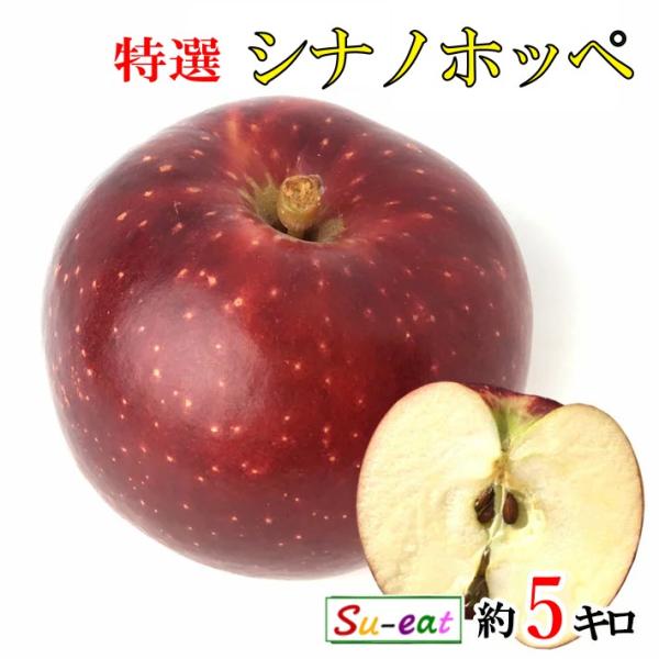 【発売日：2026年10月26日】産地直送で、鮮度も抜群！特選、ご贈答用に最適です！