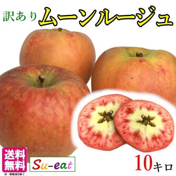 【発売日：2026年10月28日】訳ありムーンルージュ10キロをバラ詰めし、送料込みの激安でお届けいたします！鮮度は、産地直送なので最高です！