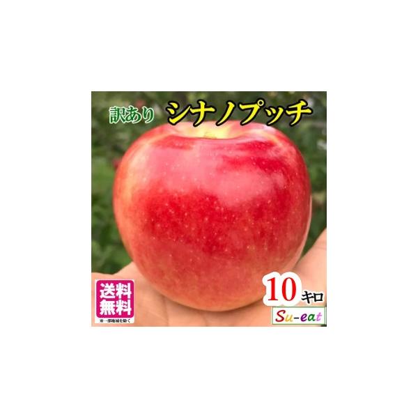 【発売日：2026年10月05日】シナノプッチりんご10キロをバラ詰めし、送料込みの激安でお届けいたします！鮮度は、産地直送なので最高です！