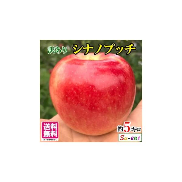 【発売日：2026年09月25日】シナノプッチりんご5キロをバラ詰めし、送料込みの激安でお届けいたします！鮮度は、産地直送なので最高です！