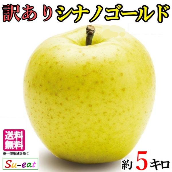 【発売日：2026年10月26日】