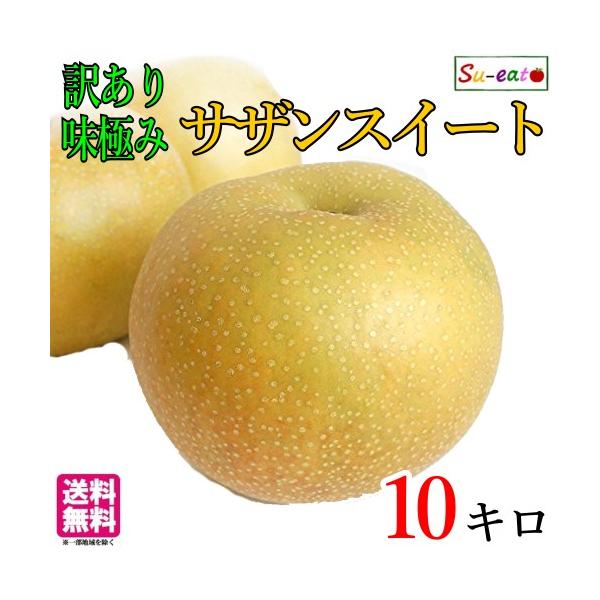 【発売日：2026年08月20日】