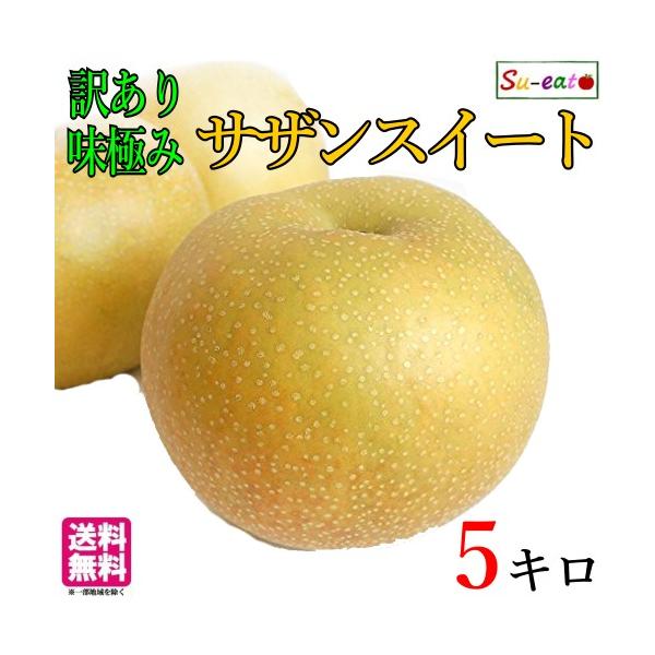 【発売日：2026年08月24日】
