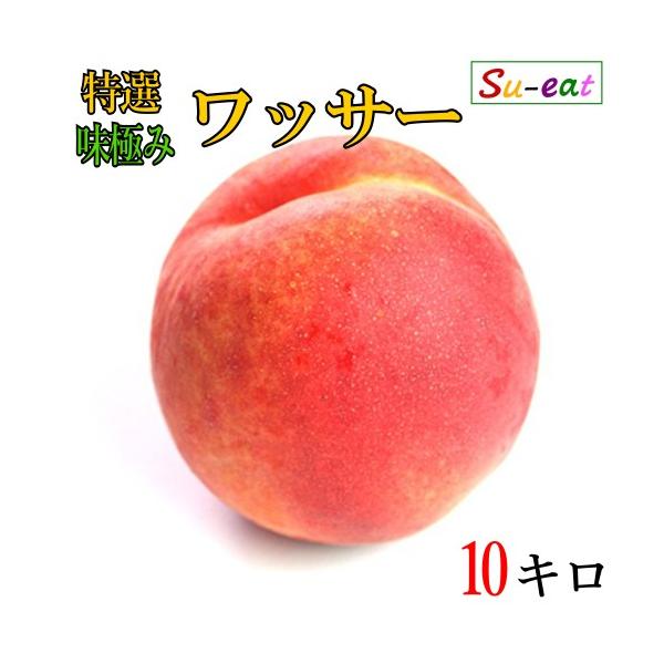 【発売日：2026年08月05日】長野の特産品フルーツ　ワッサー