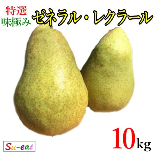 【発売日：2025年10月10日】