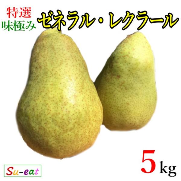 【発売日：2026年10月02日】