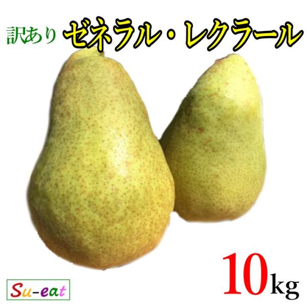 【発売日：2026年10月02日】