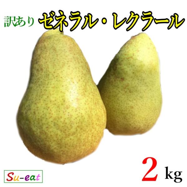 【発売日：2026年10月02日】
