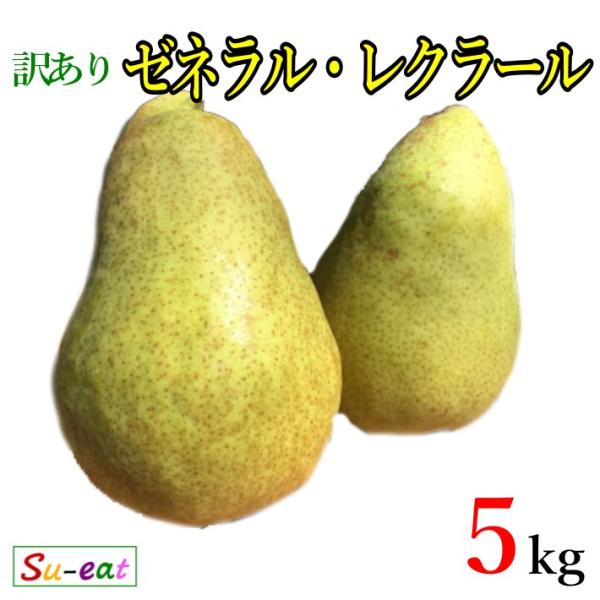【発売日：2026年10月02日】