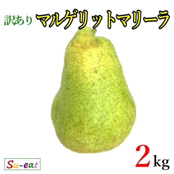 【発売日：2026年10月02日】