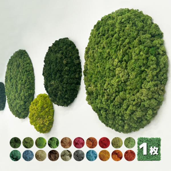 ノルディックモス 「パネルモス」１枚 PANELMOSS【ノルディックモスとは】ノルウェーの森に生息する地衣類「ミヤマハナゴケ」を採取して手作業で加工した100％天然素材の植物系商品です。ミヤマハナゴケのもつ自然の恵みを最大限に生かした、ま...