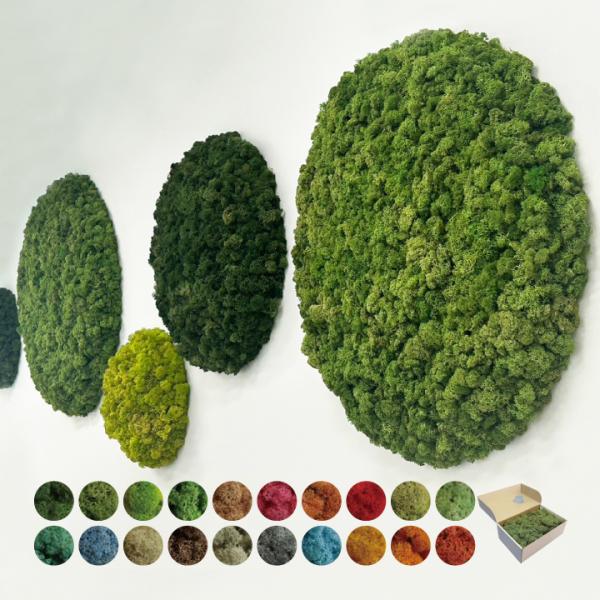 ノルディックモス 「ボックスモス」BOXMOSSバラ状になったノルディックモスを箱詰めした商品です。様々なアレンジに向いています。【ノルディックモスとは】ノルウェーの森に生息する地衣類「ミヤマハナゴケ」を採取して手作業で加工した100％天然...