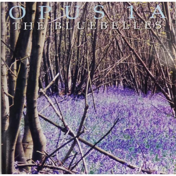 ジャズのスタンダードナンバーや映画音楽をトレバー・ワイによる華麗でユーモラスな編曲により、国内外問わずソロ・室内楽・オーケストラ等様々な分野で活躍の実力派若手フルーティスト5人の絶妙なアンサンブルにベースとパーカッションを加えた演奏で、心地...