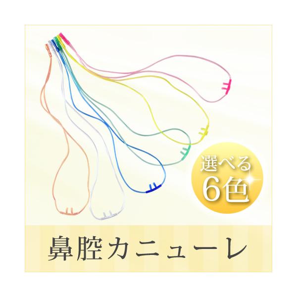 カラーは20本単位でお選びいただけます。
