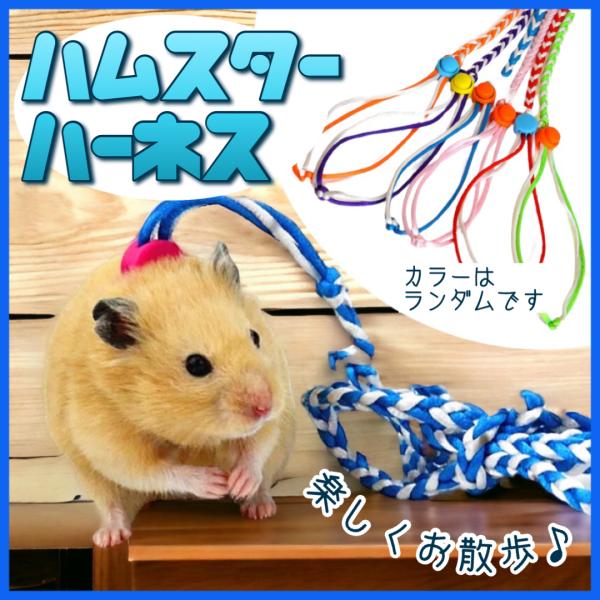 【商品内容】・ハムスターやモルモットなどの小動物専用ハーネスです♪・小さくてついつい迷子になってしまう小動物専用です！・柔らかいコットン製のため、傷つけずにお散歩に連れて行けます♪・デザインもカラフルな編みこみがおしゃれ！※カラーはランダム...