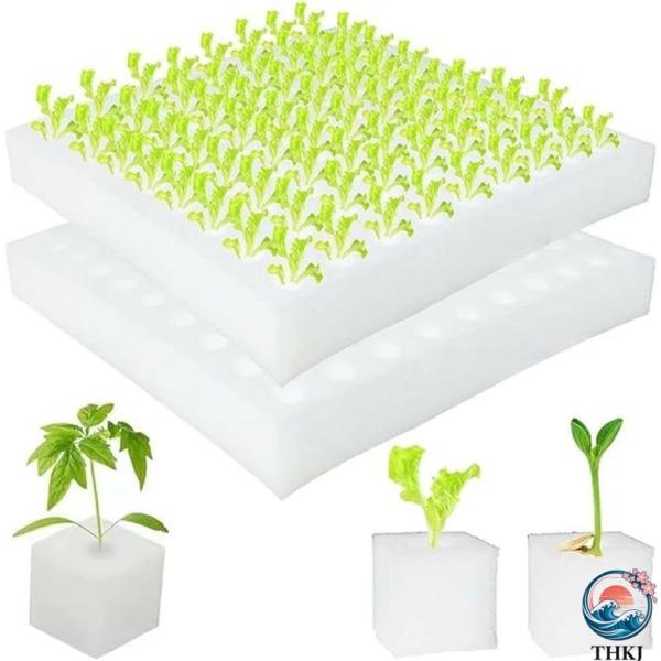 高品質素材: 高品質素材で、使いやすいです。 無肥料栽培に最適で、安全です。水耕栽培や屋内ガーデンでの野菜栽培に最適です。 .使いやすい：植え穴は種まきや植物の繁殖が簡単で、土から始めるより簡単です。 広く応用：このスポンジは温室栽培や野菜...