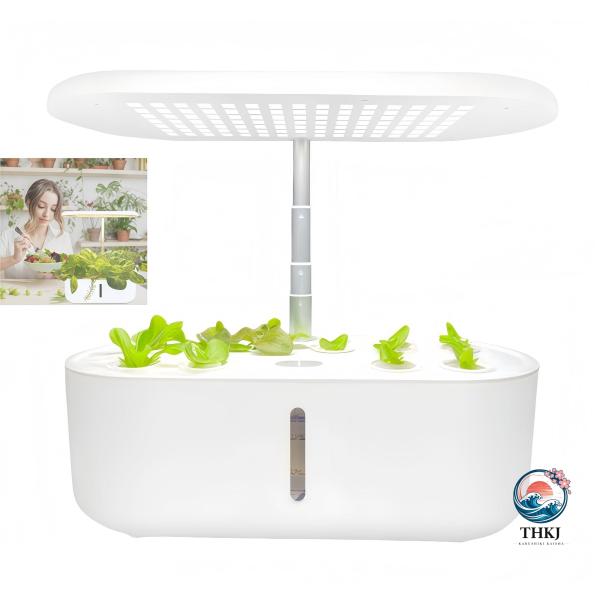 商品説明     商品詳細     水耕栽培キットは高品質のPVC素材で作られており、耐腐食性、耐酸性、耐アルカリ性、耐久性があり、無毒で環境に優しく、植えられた植物が健康で安全な環境で育つことを保証します。 効率的な水耕栽培：インテリジェ...