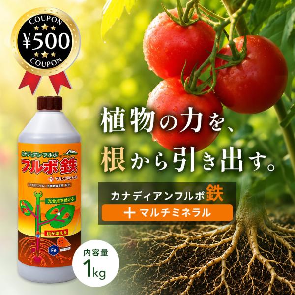 カナディアンフルボ鉄 プラスマルチミネラルは光合成を助け、日照不足の対策、根を活性化し、成り疲れの防止に効果があります♪また、肥料を消化するため食味、棚持ちの改善にも◎【植物を活性化する各種ミネラルをフルボ酸で効果的に補給できます】植物に不...