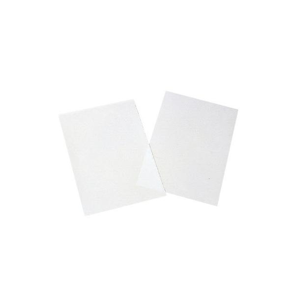 ●内容： サイズ約29.8×21cm　2枚入り●材質：ユポ紙オリジナルデザインのステンシルプレート作りに最適の専用シートです。刃の運びがしやすく、なめらかにカットしやすい材質です。半透明で下が透けるので、ステンシルするときに便利です。水に強...