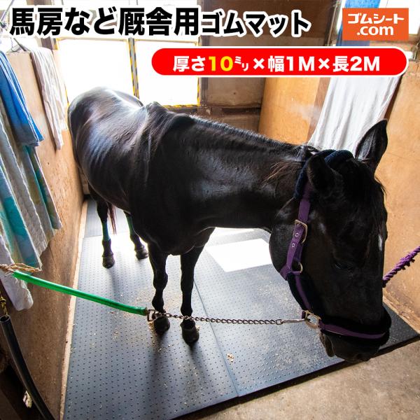 厩舎内で、馬房・洗い場・拭き上げ場・通路などに置き敷きするゴムマットです。多くのお客様からご要望いただく中で、状況に合わせたご提案やオーダーカットのご対応もさせていただいております。10枚セットでご購入いただくお客様へは特価商品もご用意しま...