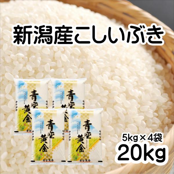 【発売日：2026年08月28日】令和7年産「新潟産こしいぶき」の在庫売り切り特別価格です。銘柄表示のない米袋に「一括表示欄」を貼付してのお届けとなります。「こしいぶき」はコシヒカリに匹敵する優れた味・つや・香りを持ちながらも、あっさりとし...