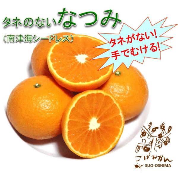 山口県の周防大島産「なつみ（南津海）」です。「なつみ」は周防大島生まれの柑橘です！「カラマンダリン」と「吉浦ポンカン」の掛け合わせで、初夏の頃においしく食べられるみかんなので「なつみ」と名付けられたそうです。糖度が高く濃厚で香りが強いのが特...