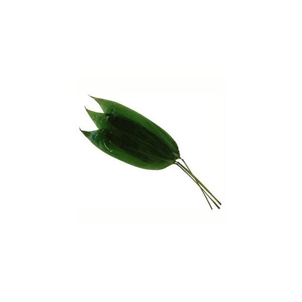 笹の葉には殺菌効果があり、保湿性にも優れ、つまものとして理想的です。●形そのまま●サイズ長さ27〜28cm、幅7.5cm前後、軸15cm以上●保存真空パック●色緑●用途料理の彩り／菓子の彩り水洗いしてからお使い下さい。料理のつまものや菓子の...