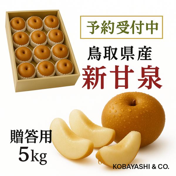 【発売日：2026年09月05日】■新甘泉予約注文の4つのメリット(1)予約販売で例年完売します。完売しなかった場合も数量限定販売のため、早めのご注文がおすすめ！(2)予約がお得。早割価格かつお得なクーポンをプレゼント中！(3)予約注文は発...