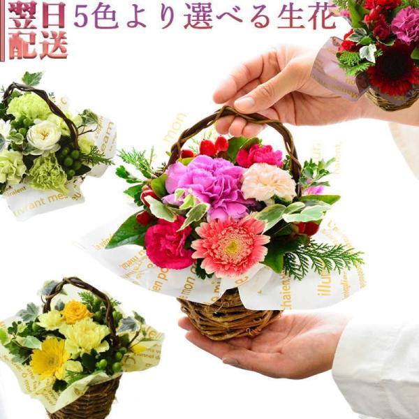 ■生花の商品です■14時までのご注文で当日発送致します■商品サイズ　幅約16cm×高さ約22cm　（使用花材によりサイズは若干変わります）■土日祝も発送ＯＫ■こちらの商品は生花の商品ですので、翌日配達ができない地域（北海道・青森県・秋田県・...