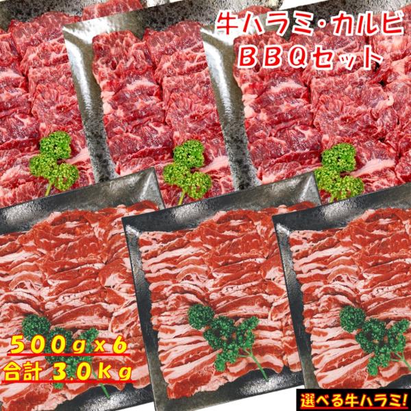バーベキュー 食材 セット 焼肉セット 3kg BBQセット 肉 牛肉商品購入後レビューを書いて次回ご利用頂けるクーポンゲット！！セット内容牛ハラミ、牛ハラミタレ漬け合わせて　　　１５００ｇ牛バラカルビ　１５００ｇ　　　　合計　３０００ｇ焼...