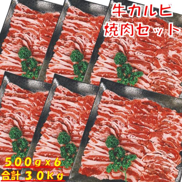 バーベキュー 食材 セット 焼肉セット 3kg BBQセット 肉 牛肉商品購入後レビューを書いて次回ご利用頂けるクーポンゲット！！牛肉と言えばカルビ！美味しい牛カルビをたらふく食べれてこの価格！ぜひご賞味下さい！セット内容牛バラカルビ　５０...